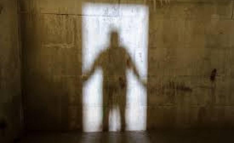 Who and what are these beings? Breaking down & categorizing Shadow ...